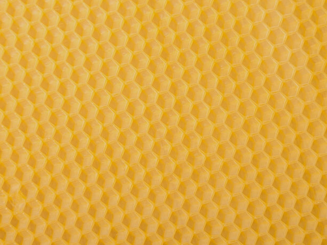 10 Everyday Uses for Beeswax Around the House – Ames Farm Single Source ...
