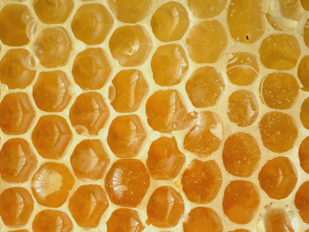 What Exactly Is Honeycomb? (And How Bees Make It) – Ames Farm Single ...
