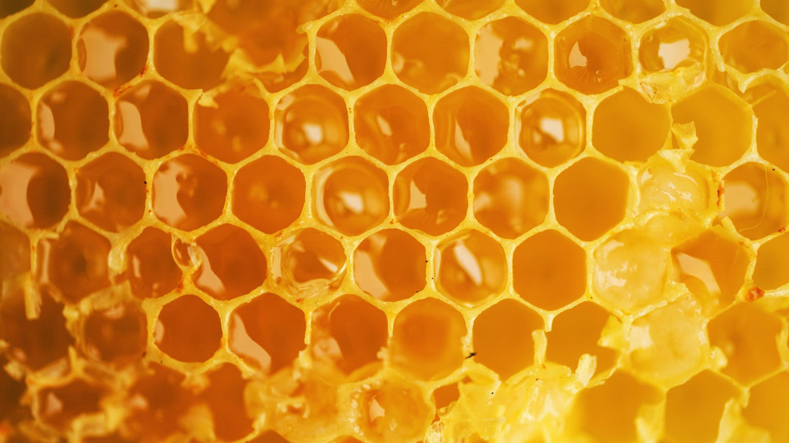 The Historical Importance of Honey: From Ancient Traditions to Modern ...