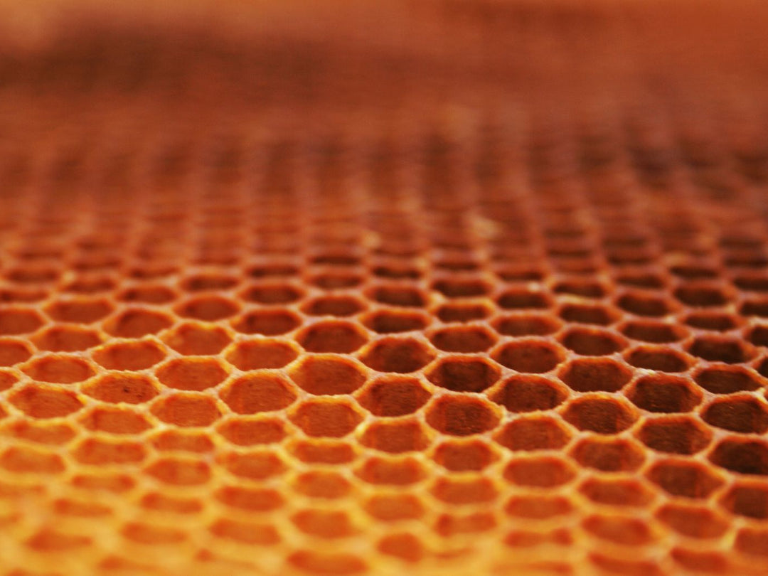 10 Delicious Ways to Use Honeycomb – Ames Farm Single Source Honey