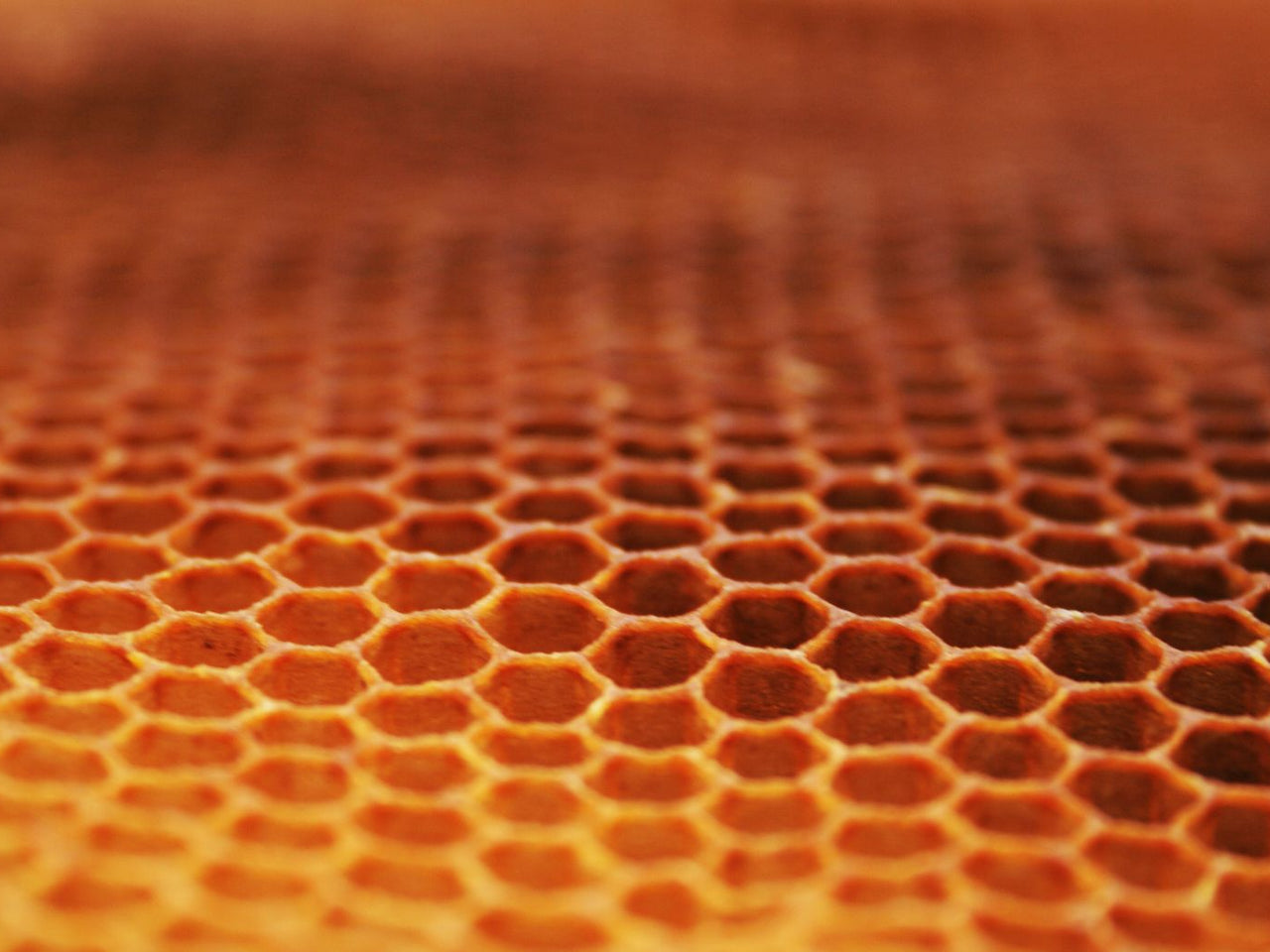 10 Delicious Ways to Use Honeycomb – Ames Farm Single Source Honey